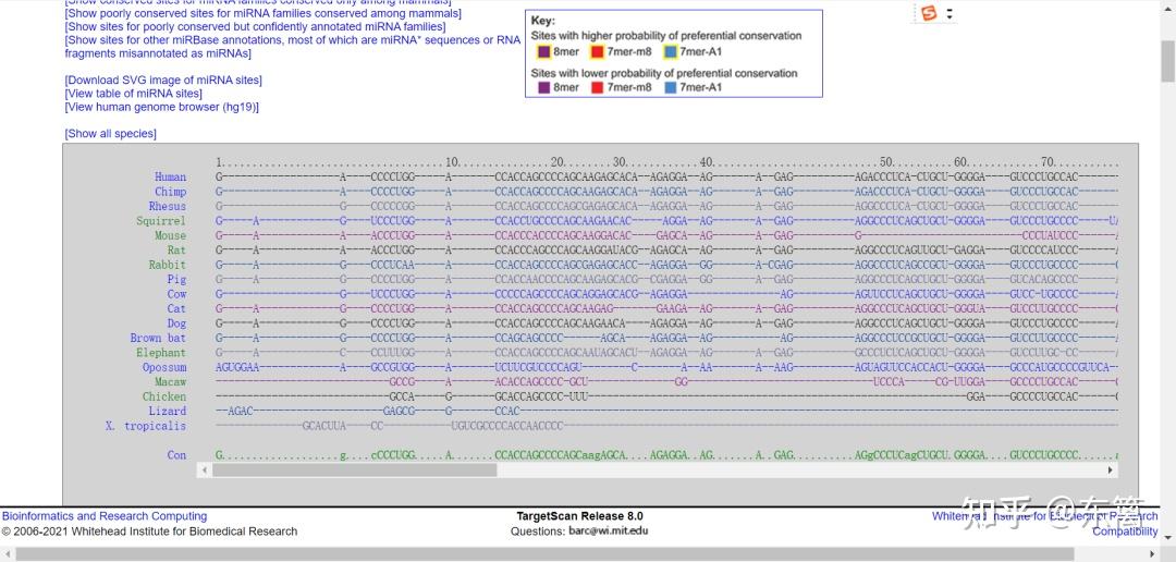 如何预测miRNA的靶基因（TargetScan） - 知乎
