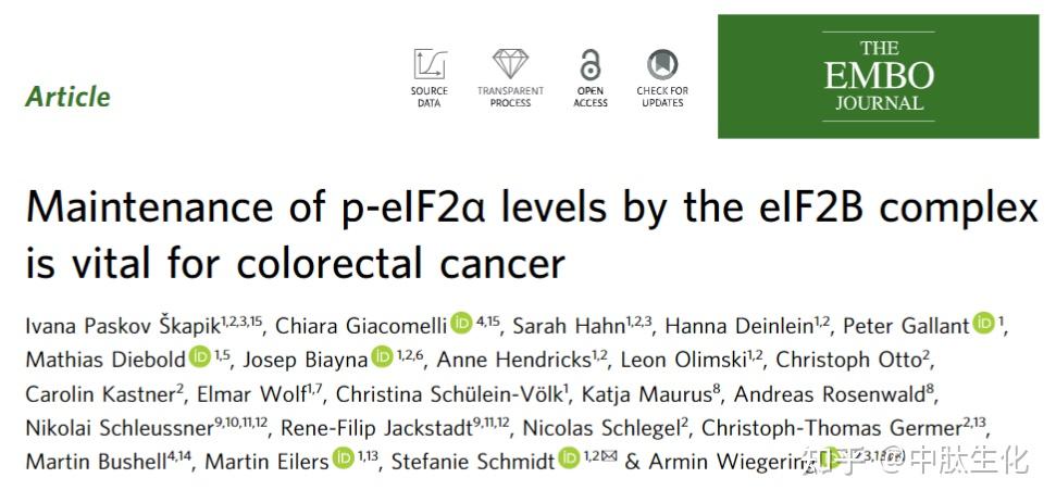原来是eIF2B复合物维持的p-eIF2α水平在撑腰，EMBO J最新研究揭示关键抗癌靶点！ - 知乎