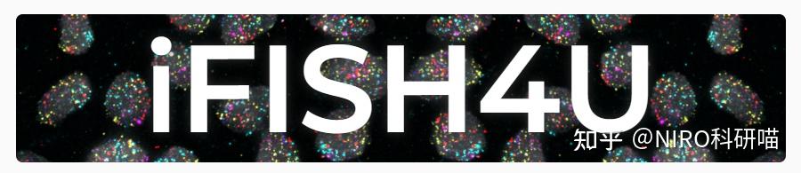 关于荧光原位杂交技术（FISH）和探针设计 - 知乎