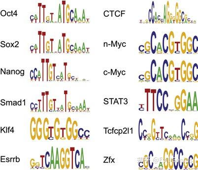 单细胞个性化分析之转录因子篇 - 知乎
