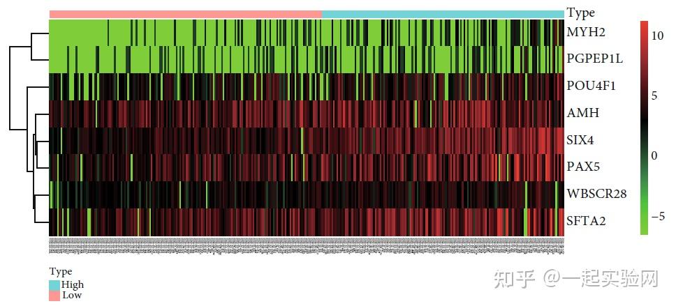 生信分析——热图如何看 - 知乎