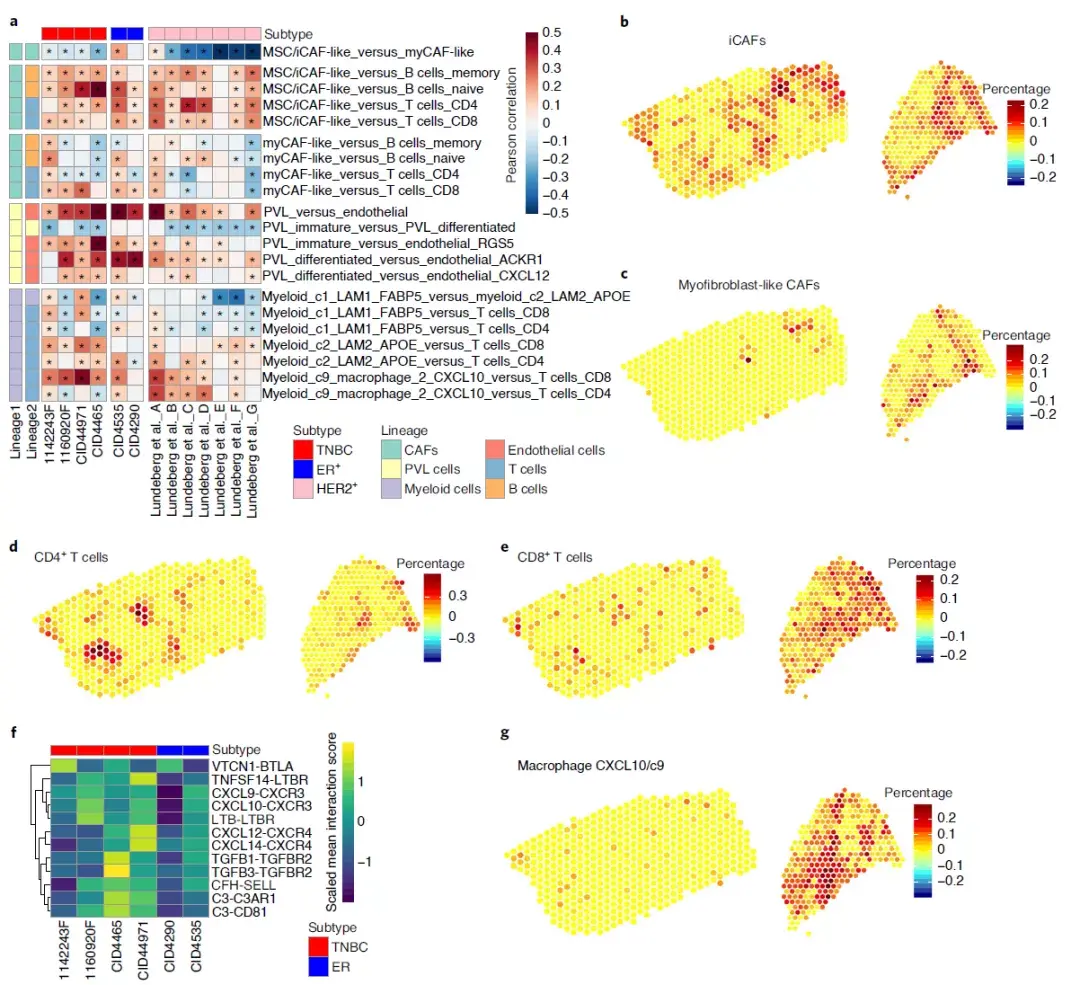 Nat Gen | 人类乳腺癌单细胞空间图谱 - 知乎