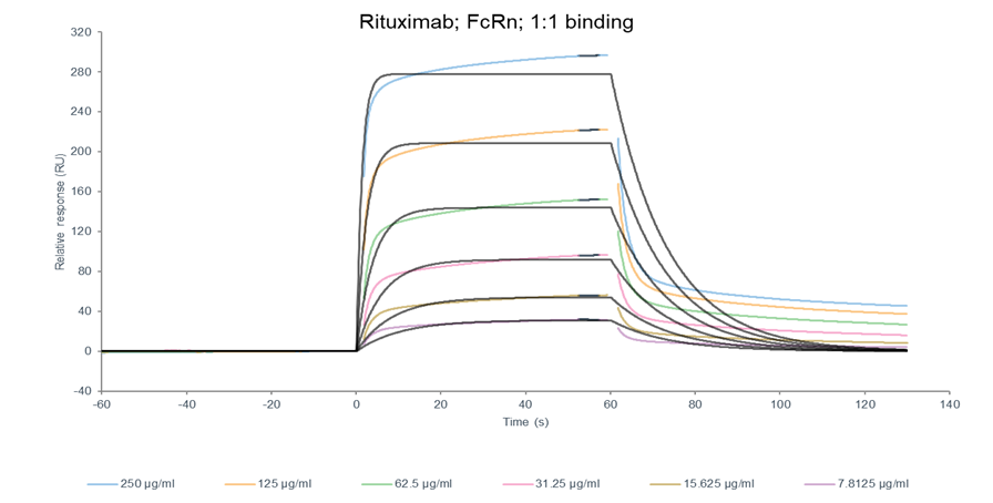 OncoWuXi速递 | FcRn结合能力检测服务 - 知乎