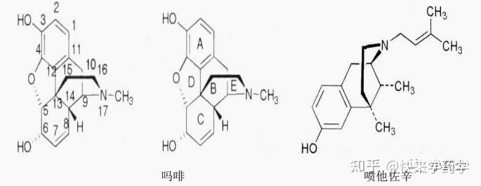 【药化高频考点 11】合成镇痛药的化学结构类型及其代表药物 - 知乎