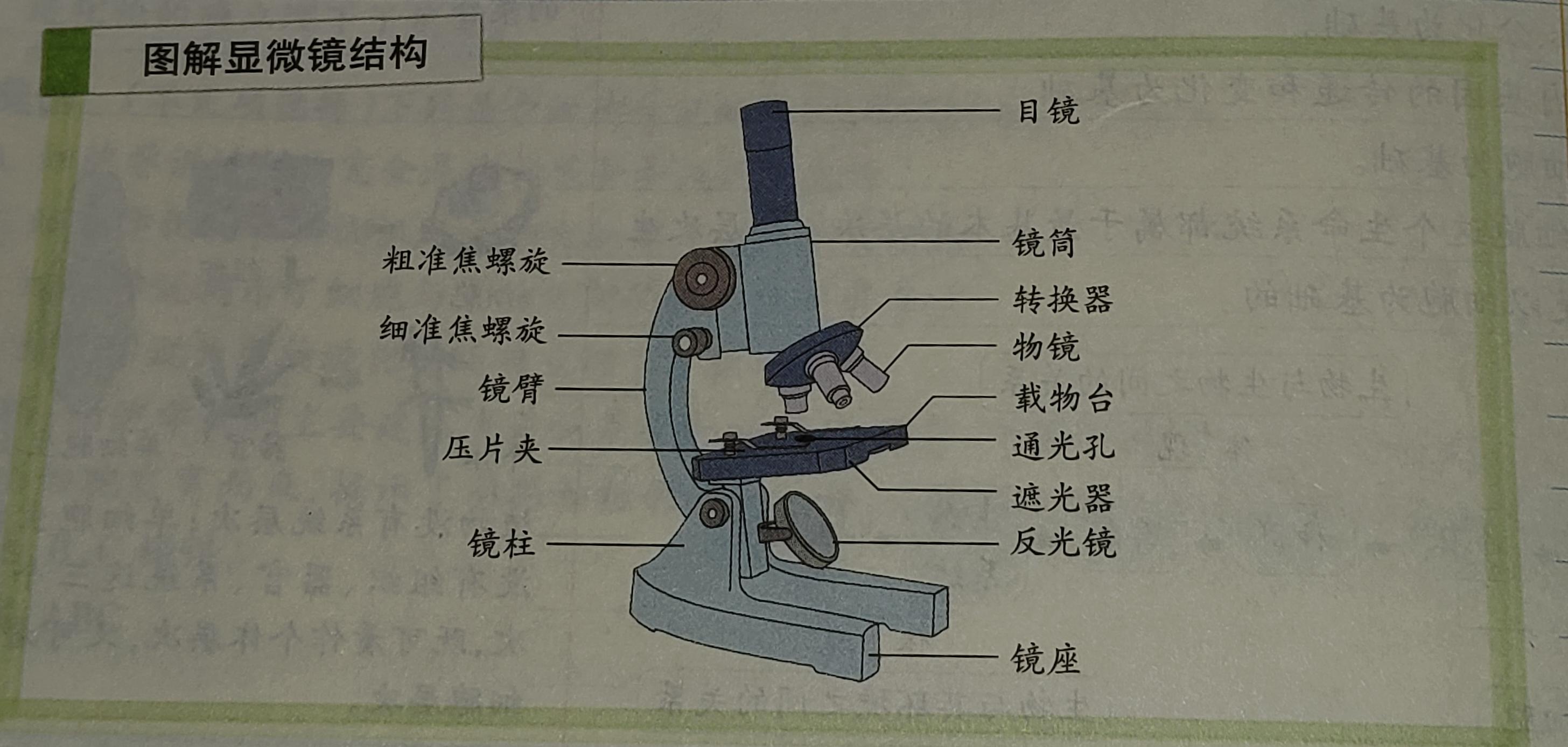 显微镜的基本知识 - 知乎