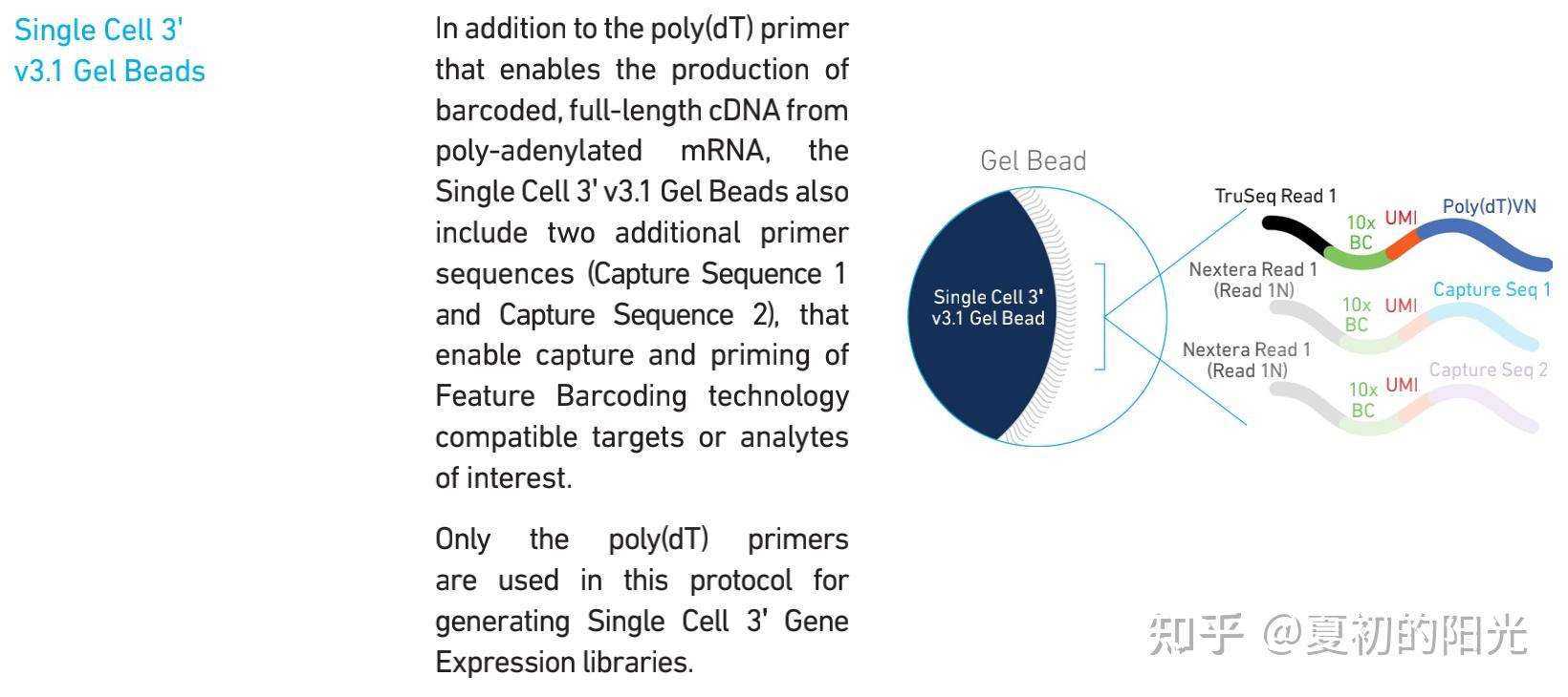 10x Genomics 单细胞技术简介 - 知乎