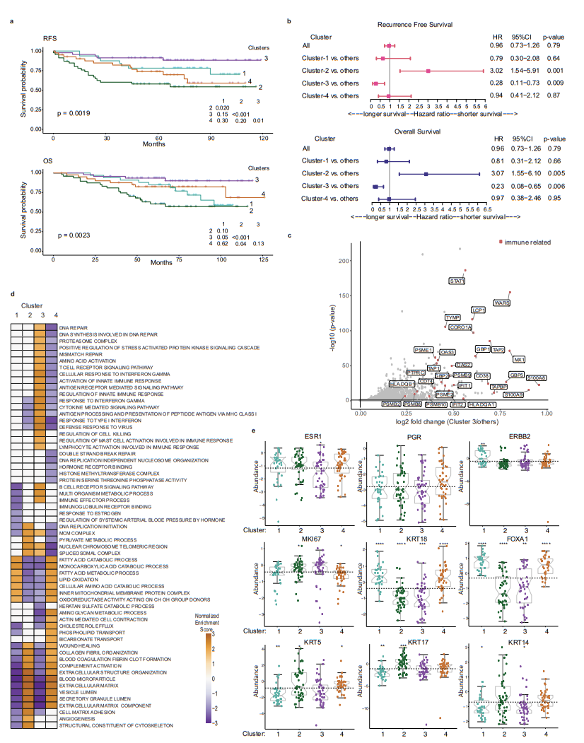 文献解读 | 蛋白质组学分析确定乳腺癌潜在生物标志物和治疗靶点 - 知乎