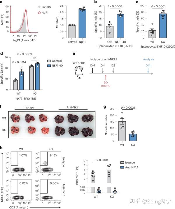 发现 | 新型NK细胞抑制受体NgR1，可破坏免疫突触稳定性！ - 知乎