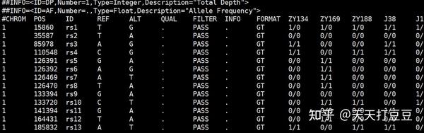 plink常见用法 - 知乎