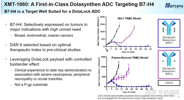 B7家族的泛癌种新星：B7-H4 - 知乎