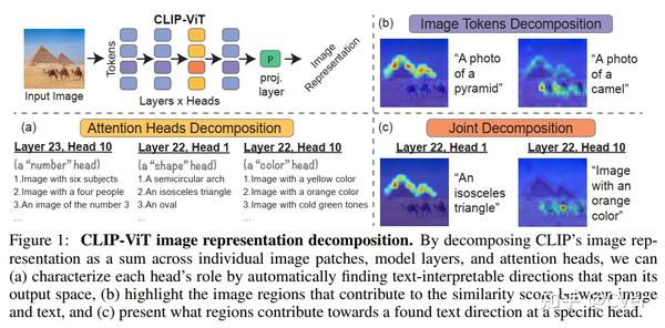 ICLR 2024 Oral | 基于文本的分解来解释 CLIP 的图像表示 - 知乎