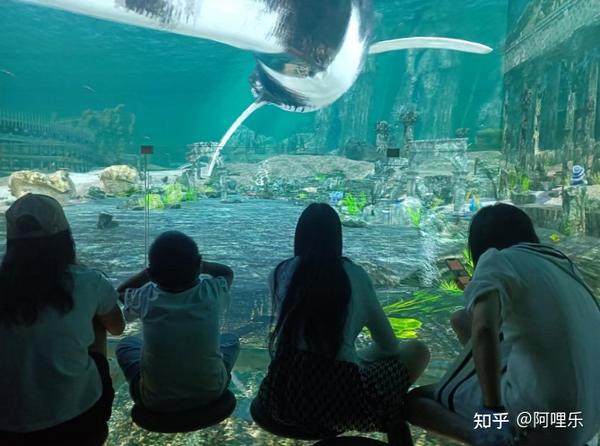 沉浸式体验空间的悬空玻璃剧场 - 知乎