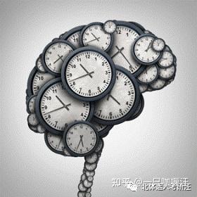 【北体运人考研·三个月带你学完生理】Day3-人体生理机能的调节 - 知乎