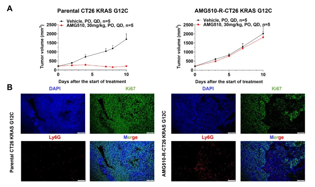 AACR 2024热点速递：肿瘤治疗药物研发最新进展一览 - 知乎