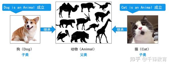 Java零基础入门教程,小白极速狂飙10天轻松拿捏2023最新版java—面向对象三大特性 (附2023最新版java学习路线) 知乎