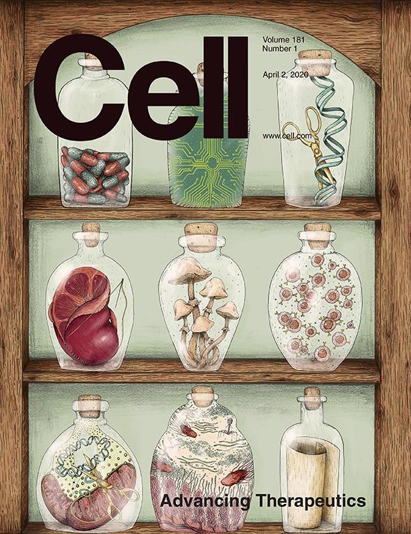 科学与艺术的结合！《CELL》100+张期刊封面鉴赏｜2020年篇 - 知乎