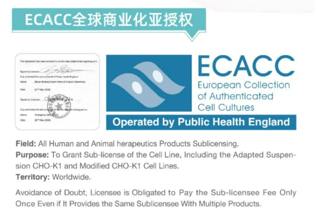 CHO-K1BN细胞株助力抗体药物开发 - 知乎