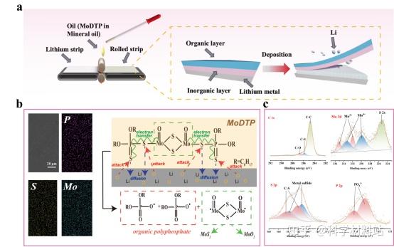 中南大学吴志彬 & 内蒙古科技大学安胜利， Energy Storage Materials研究论文：MoDTC衍生的人工SEI助力实现高性能 ...