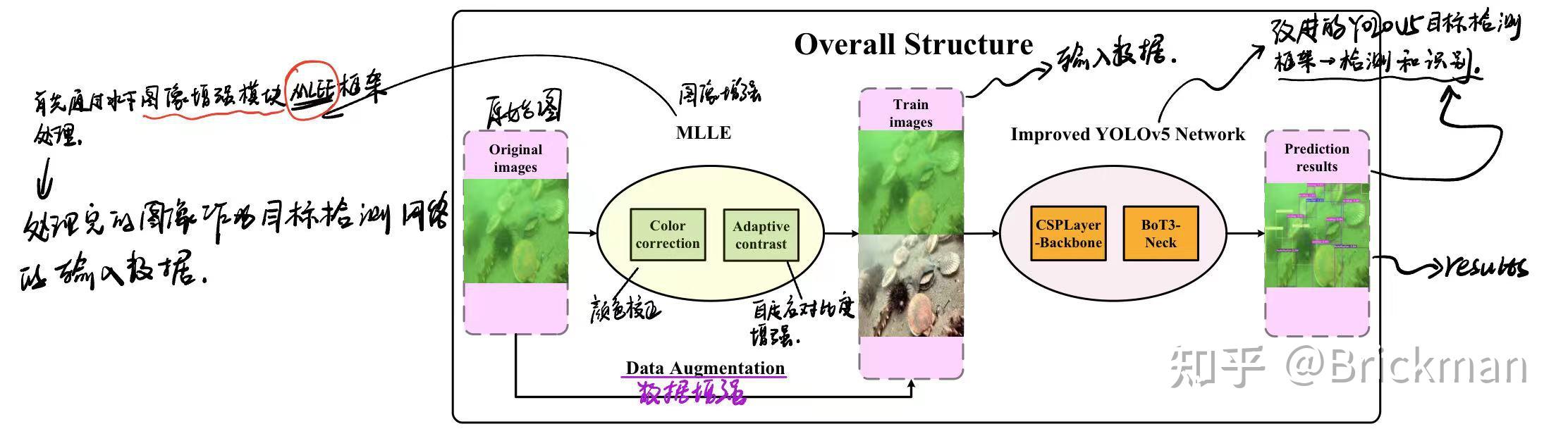 文献阅读：An Improved YOLOv5-Based Underwater Object-Detection Framework（2023） - 知乎