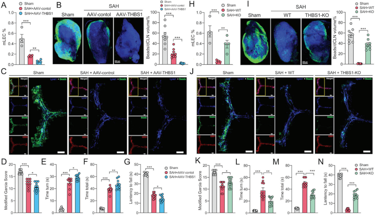 项目文章 | 单细胞和空间转录组联合揭示蛛网膜下腔出血后脑膜淋巴功能障碍的发病机制 - 知乎