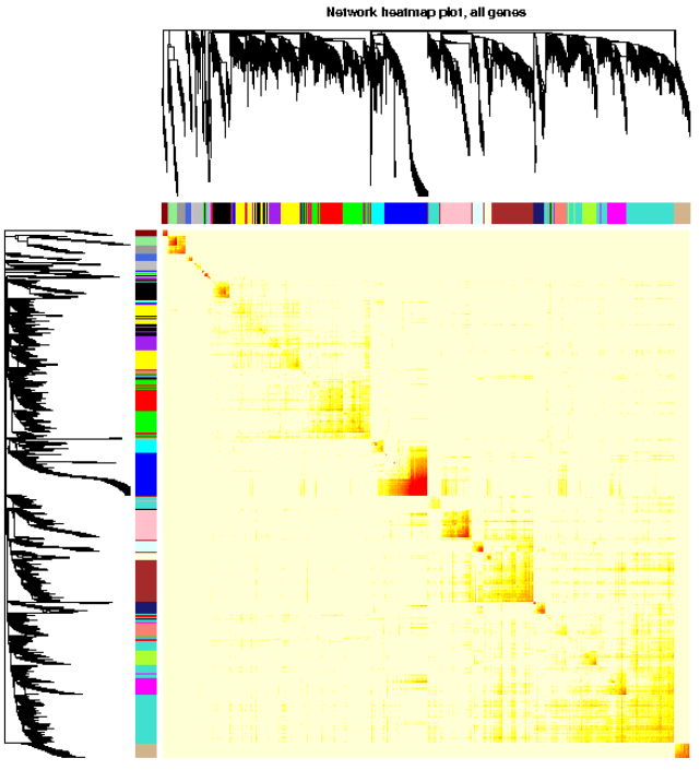 WGCNA分析，简单全面的最新教程 - 知乎