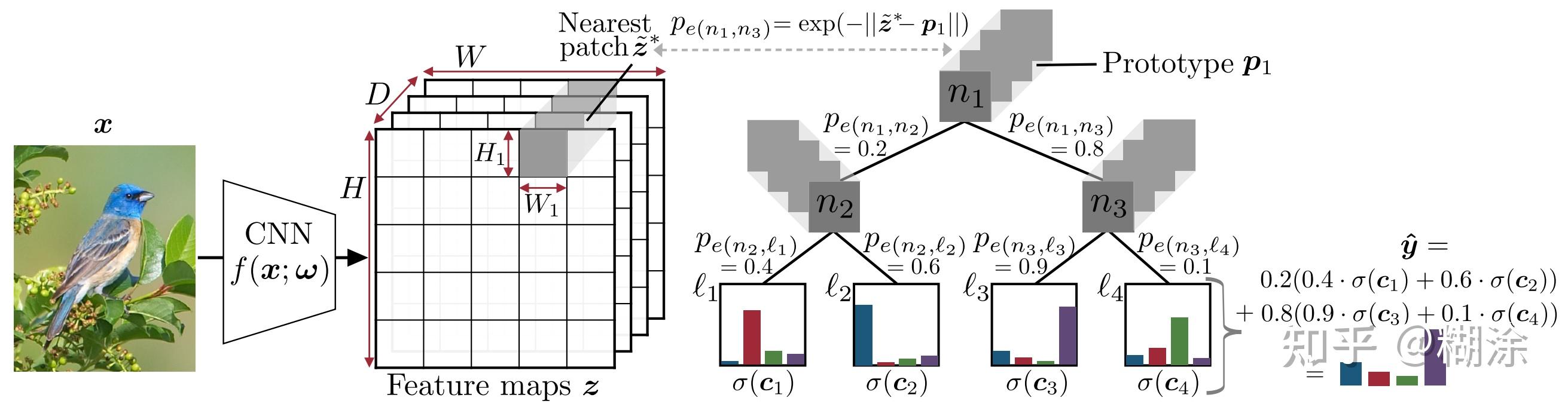 Neural Prototype Trees for Interpretable Fine-grained Image Recognition 阅读分享 - 知乎