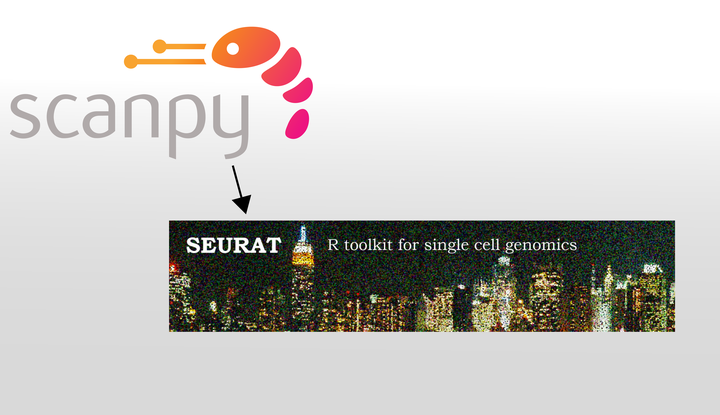 scanpy h5ad文件转换seurat对象: Python R语言单细胞数据文件平台转换 - 知乎