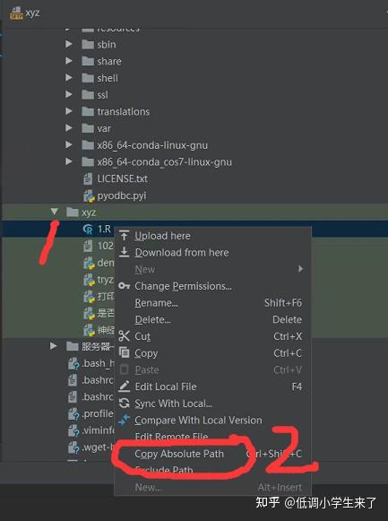 Pycharm链接服务器，在服务器中创建python、R语言虚拟环境，并运行相关程序 - 知乎