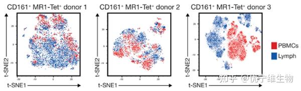 【罗工流式秘籍68】流式大数据t-SNE和UMAP的结果图看不懂？不会用？ - 知乎