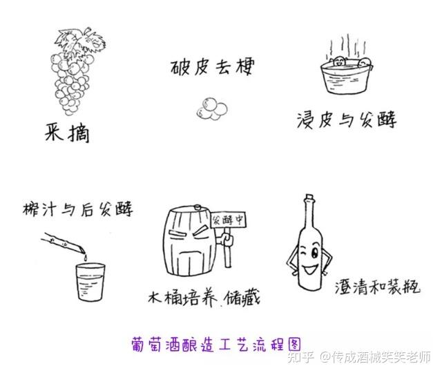 传成酒械告诉你自酿葡萄酒为何容易甲醇超标 知乎