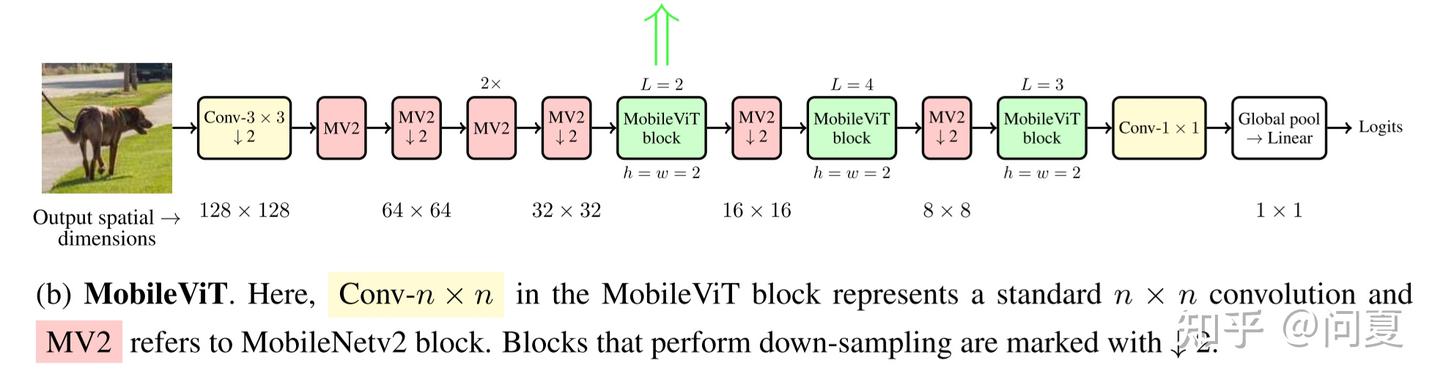 MobileViT-ICLR2022：通用的轻量级ViT - 知乎