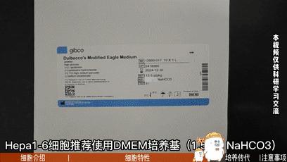 Hepa1-6细胞培养，小鼠肝癌细胞培养攻略 - 知乎