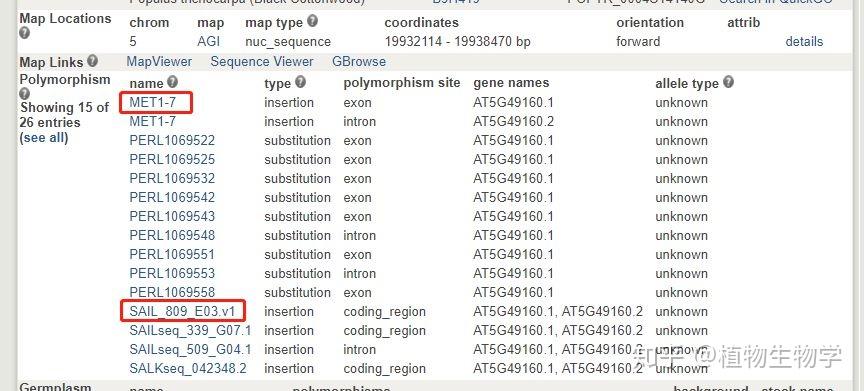 拟南芥种子订购详细攻略-TAIR-ABRC篇 - 知乎
