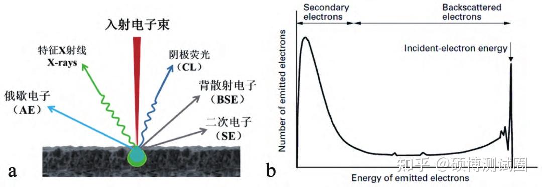一文读懂SEM在计量学/生物/半导体等方面的应用 - 知乎