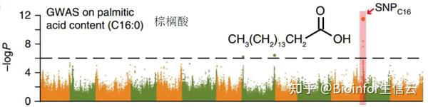 重测序分析（14）全基因组关联分析GWAS介绍 - 知乎