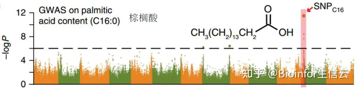 重测序分析（14）全基因组关联分析GWAS介绍 - 知乎