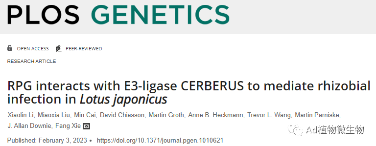 PLOS GENETICS | 中科院谢芳团队研究揭示关键蛋白复合物介导根瘤菌侵染百脉根的机制！ - 知乎