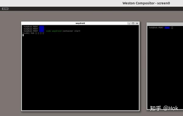 linux上运行android：waydroid终于安装成功并可上网、安装程序 - 知乎