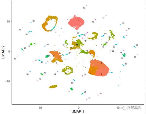 SCS【8】单细胞转录组之筛选标记基因 (Monocle 3) - 知乎