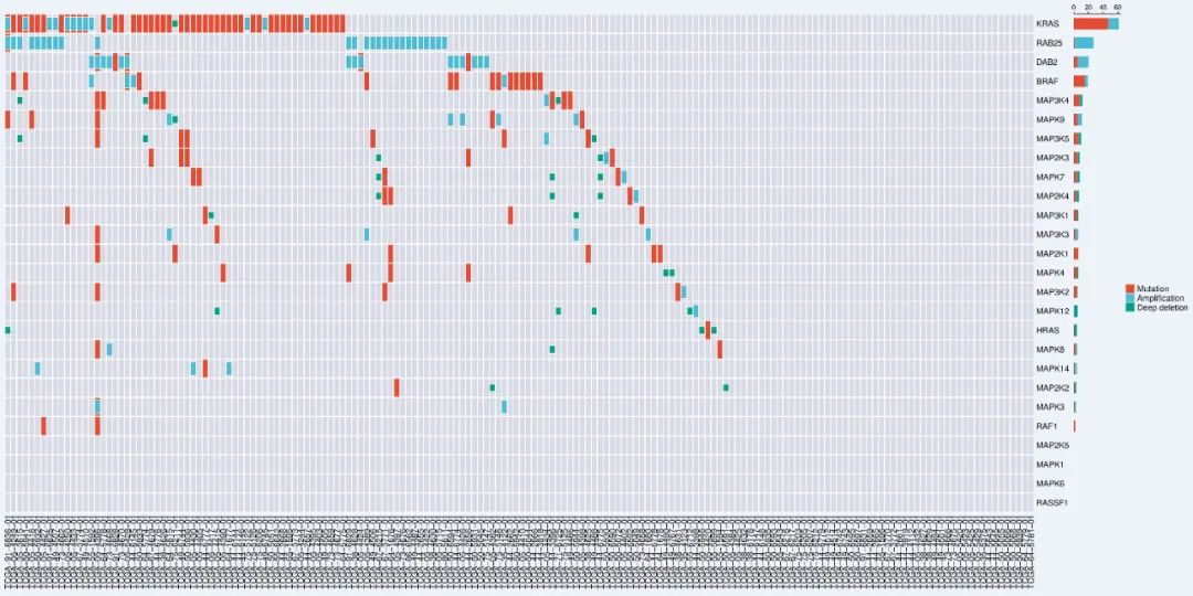 11款热图工具！无需代码拿下热图、组合热图！ - 知乎