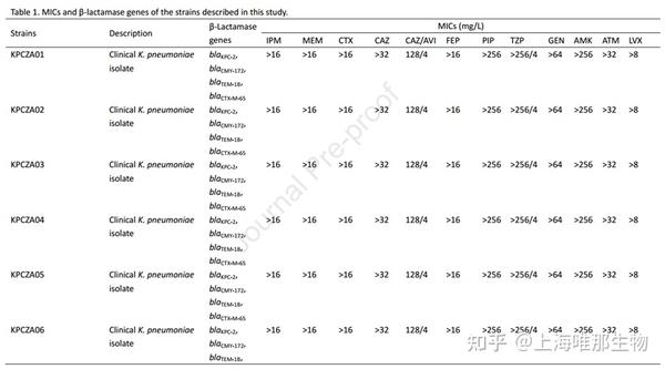 文献解读 | 新型CMY AmpC β-内酰胺酶导致产KPC肺炎克雷伯菌的头孢他啶-阿维巴坦耐药 - 知乎
