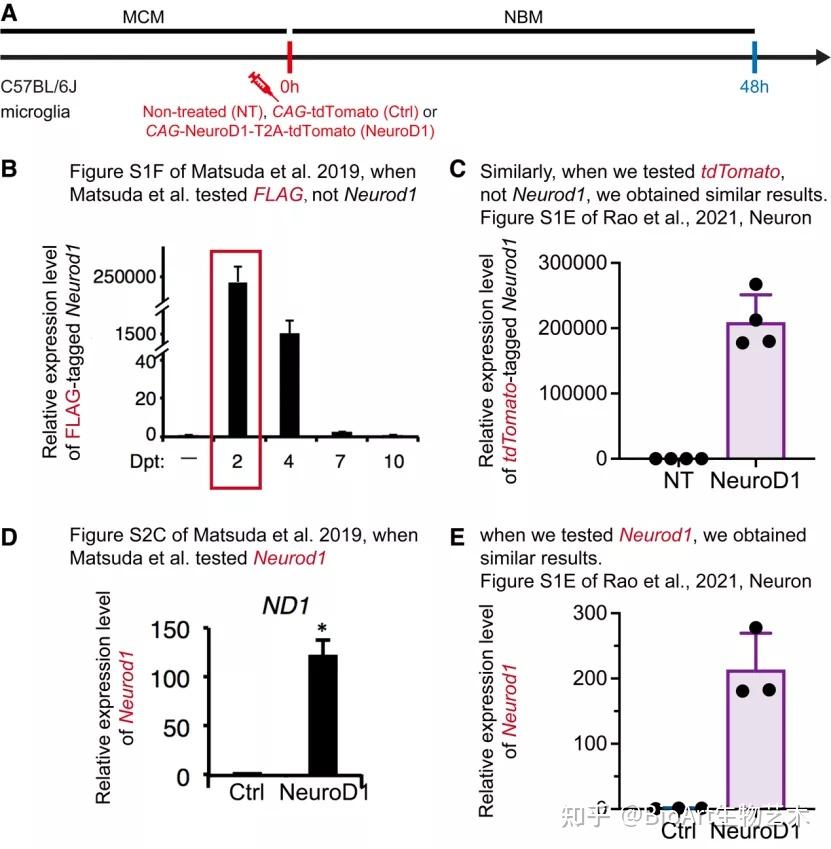 “争鸣”Neuron | 彭勃等人提出验证胶质细胞转分化的基本原则，并证明NeuroD1不能介导小胶质细胞-神经元重编程 - 知乎