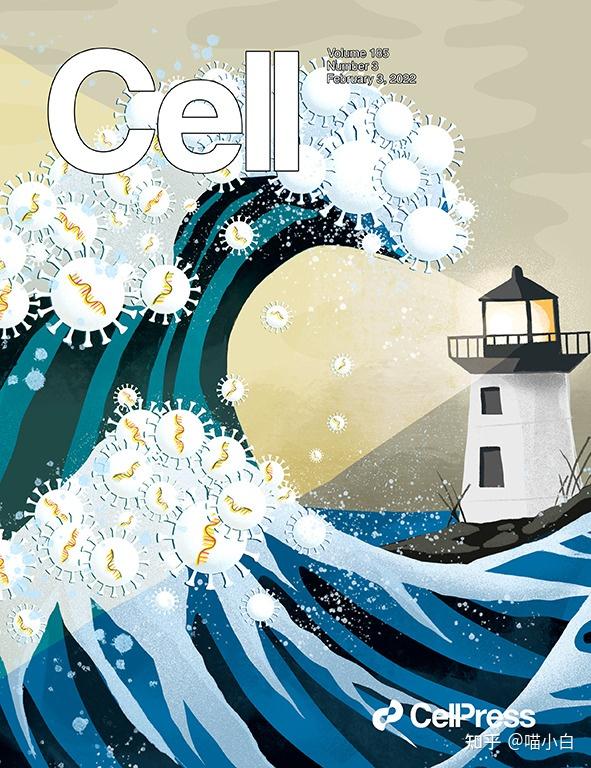Science&Art Cell2022封面大赏（一），生物学前沿无与伦比的美！ - 知乎