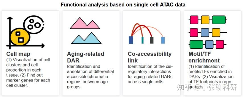 衰老研究再添神器——这个宝藏数据库可助你发文！ - 知乎