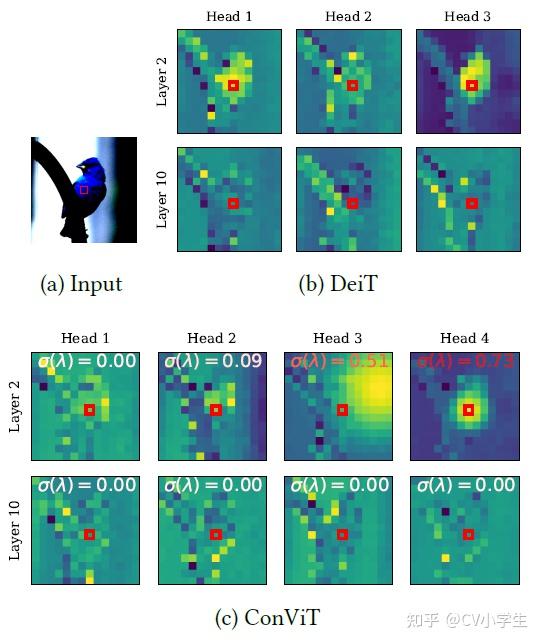 [论文阅读]ConViT: Improving Vision Transformers with Soft Convolutional Inductive Biases - 知乎