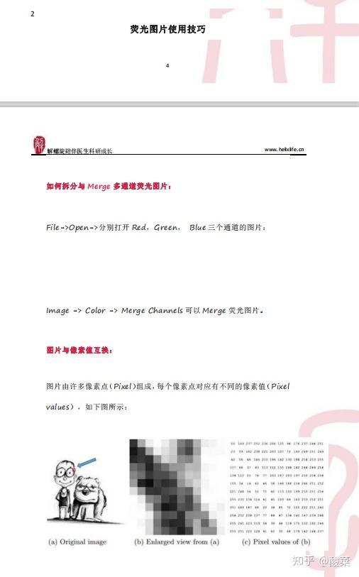 ImageJ如何做出高颜值SCI配图？看完直接冲上5分+！（附实用插件） - 知乎