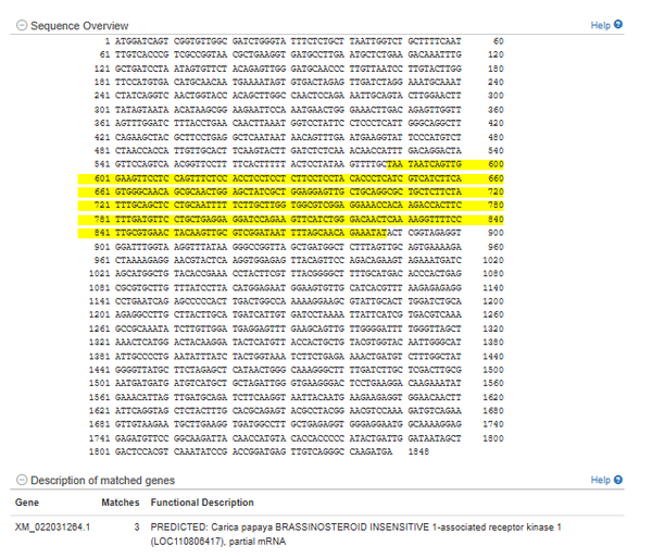 SGN VIGS Tool | 这个工具可以快速选取VIGS片段（含拟南芥、本氏烟、水稻、小麦、番茄和玉米等几十个物种） - 知乎