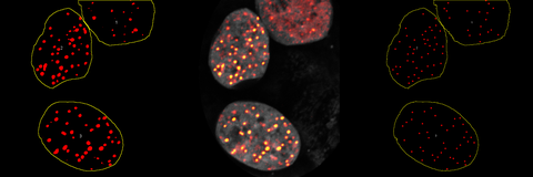 image J教程汇总？ - 知乎