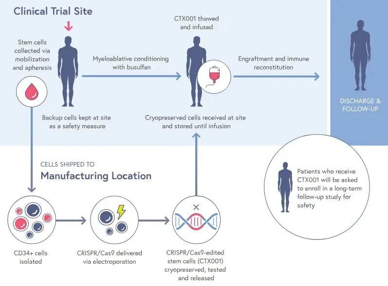 喜报喜报！全球首款CRISPR/Cas9基因编辑疗法获批 - 知乎