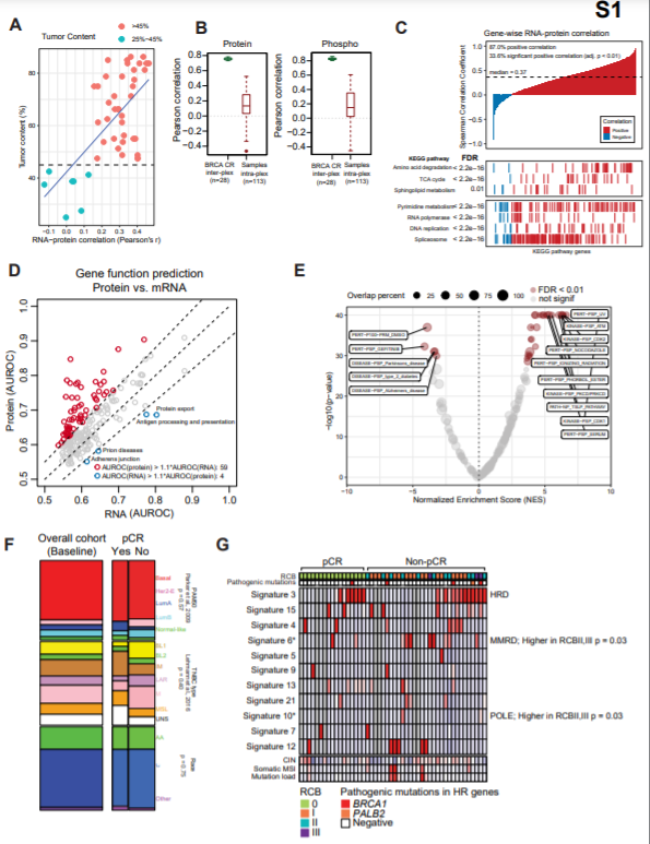 Cancer Disc | 三阴性乳腺癌化疗耐药和反应的蛋白基因组学标志物 - 知乎